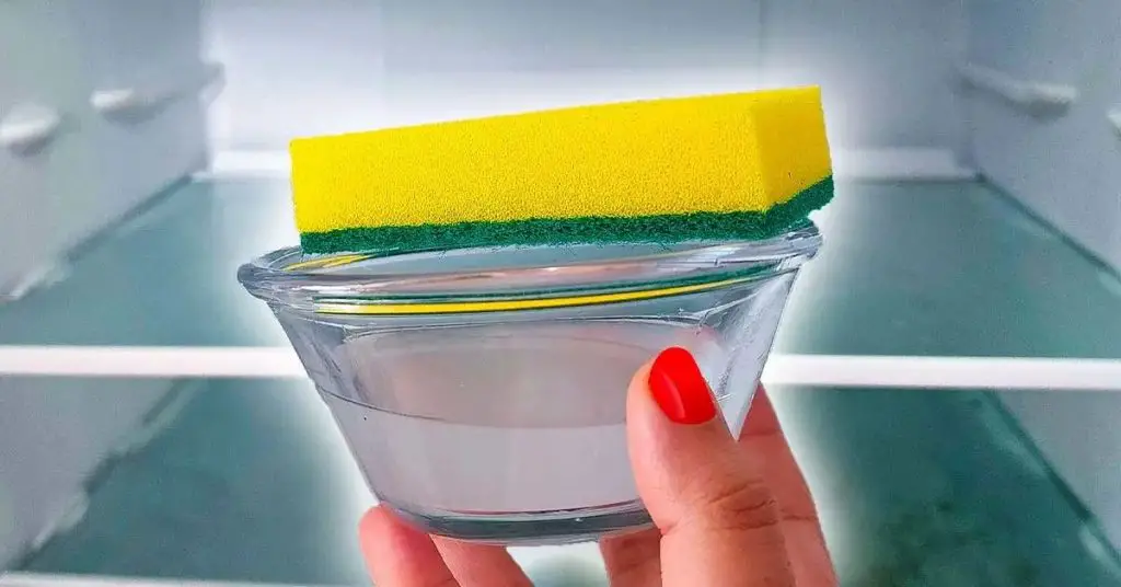 ¿Cómo limpiar la nevera y eliminar todos los malos olores? – trucos casa jardin